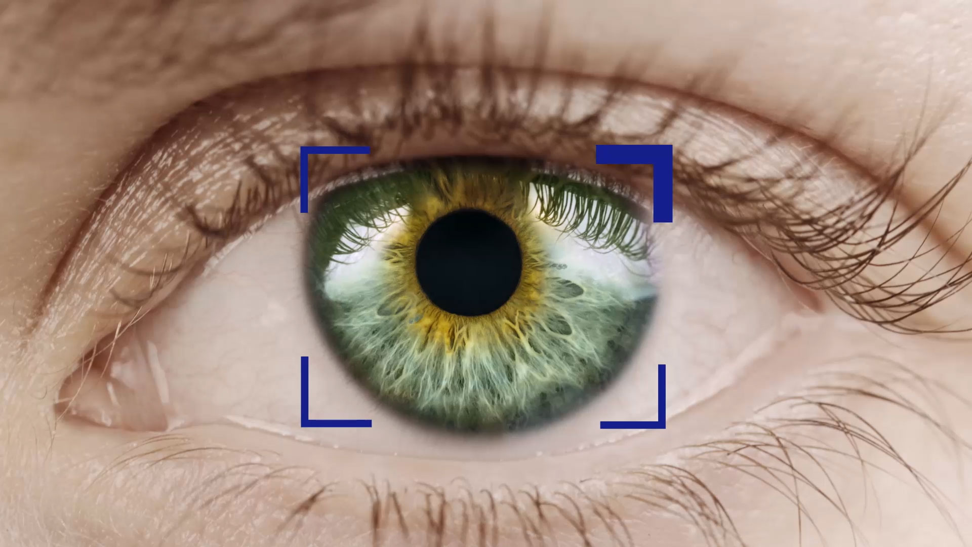 ZEISS Group Key Figures (IFRS)