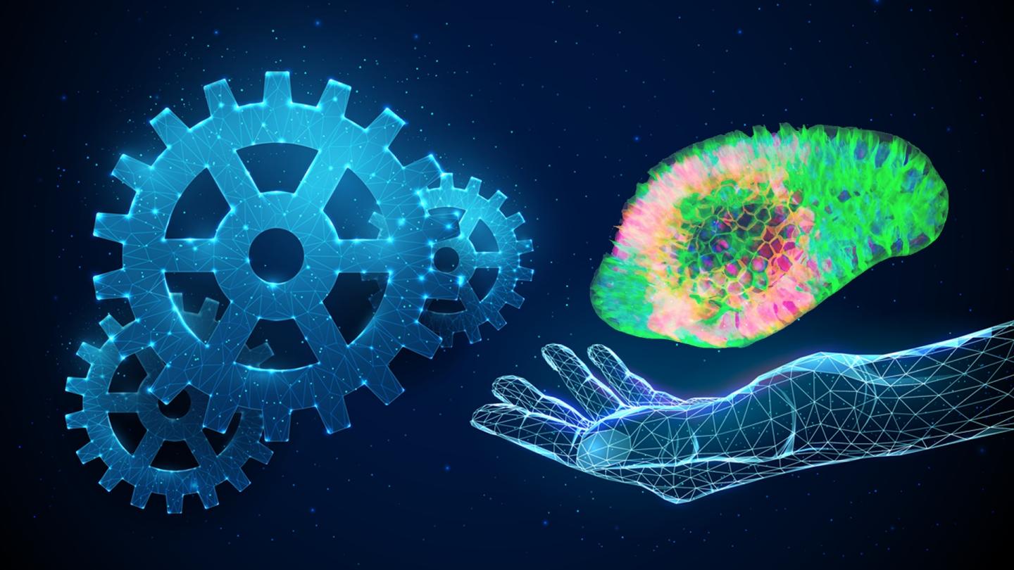 ZEISS Innovation Hubs