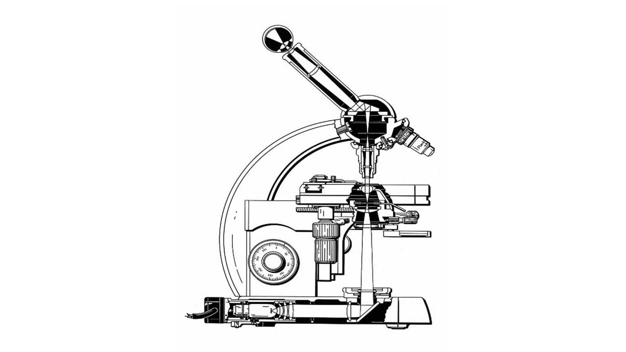 Microscopy - How it all began | ZEISS