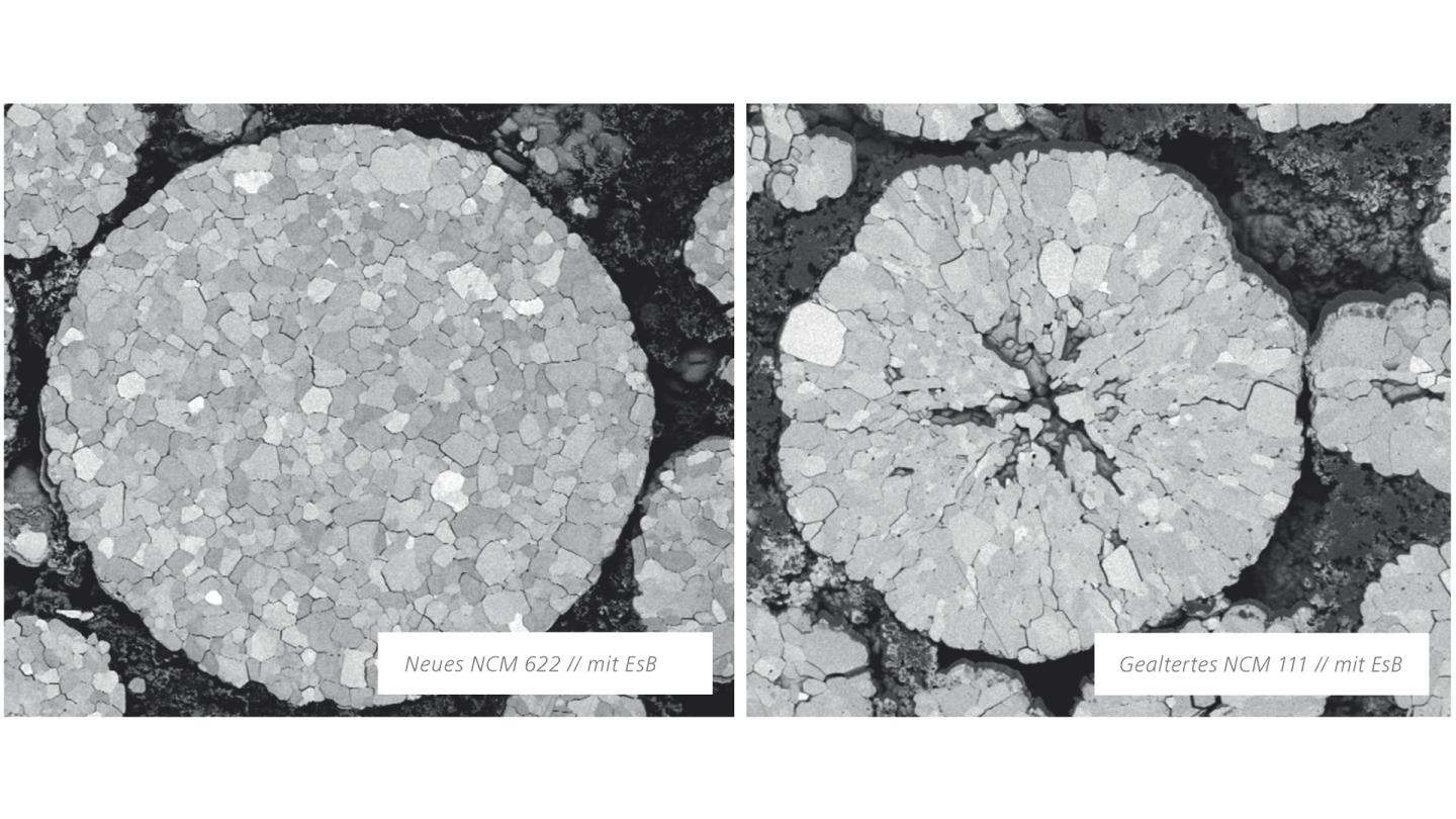 ZEISS GeminiSEM: Field emission scanning electron microscope, high-end ...