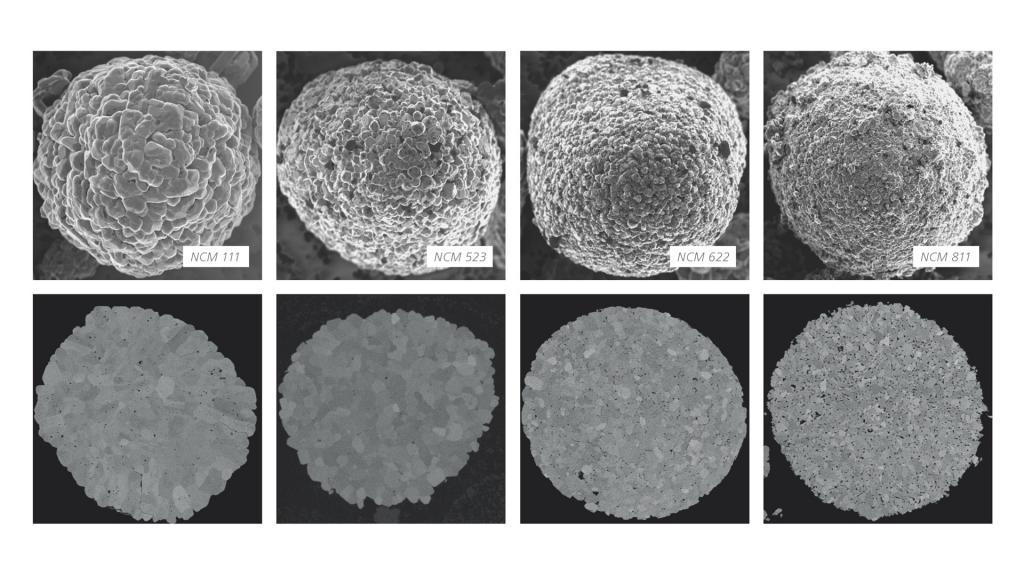 ZEISS GeminiSEM: Field emission scanning electron microscope, high-end ...