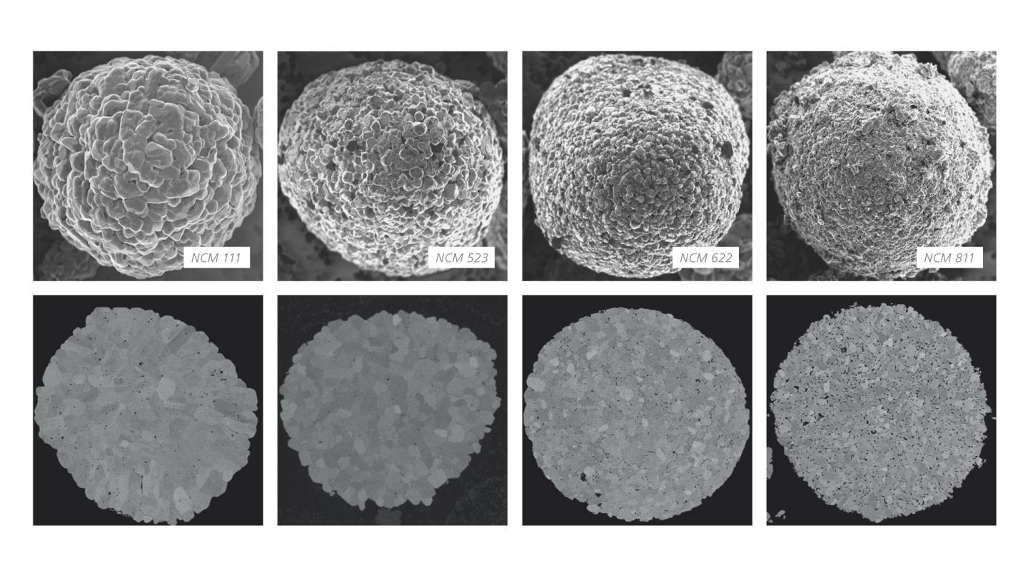 ZEISS GeminiSEM: Field emission scanning electron microscope, high-end ...