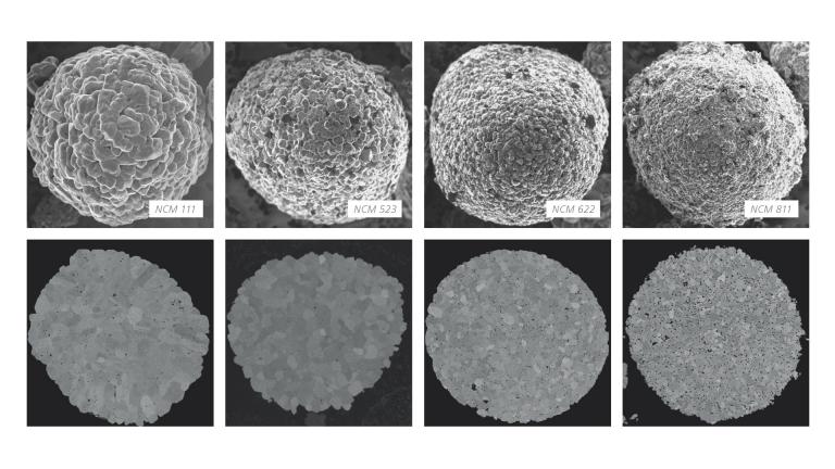 ZEISS GeminiSEM: Field emission scanning electron microscope, high-end ...