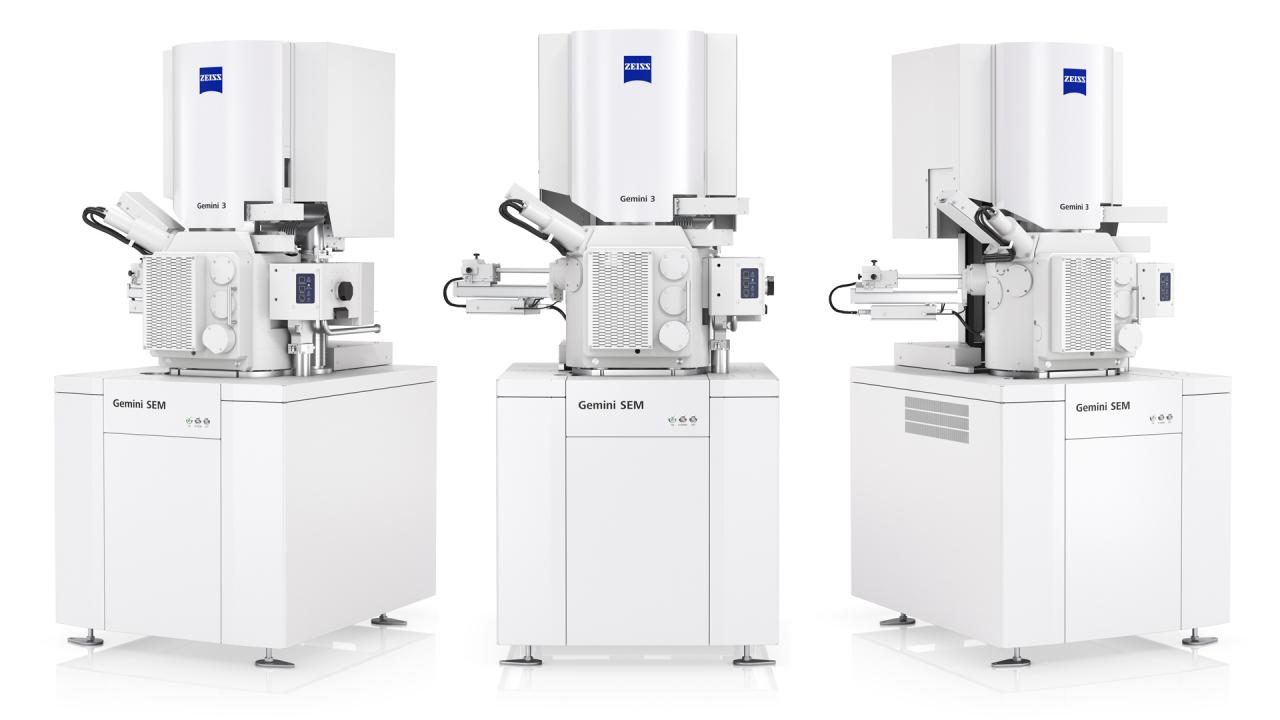 ZEISS GeminiSEM: Field emission scanning electron microscope, high-end ...