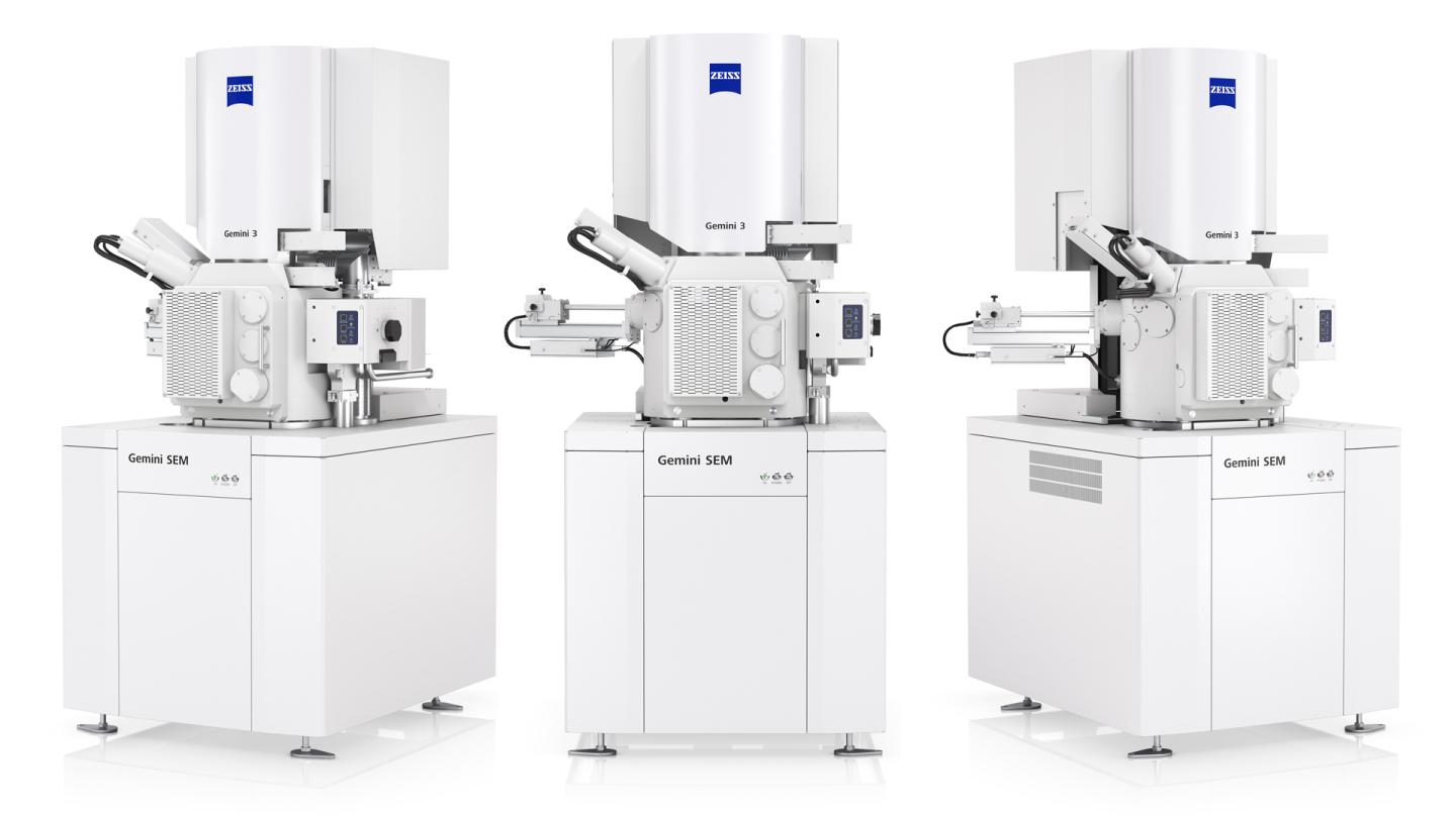 ZEISS GeminiSEM: Field emission scanning electron microscope, high-end ...