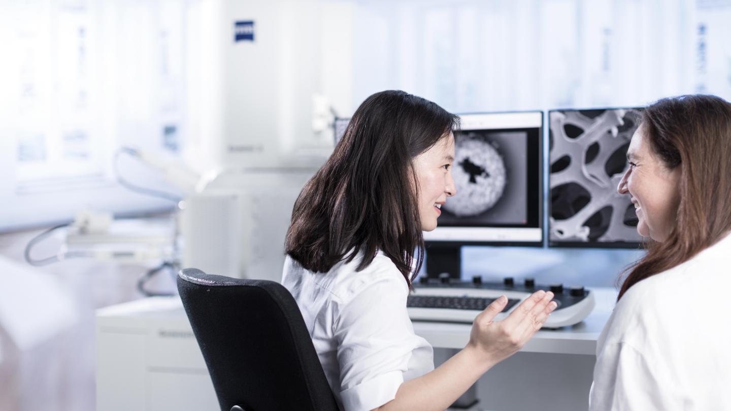 ZEISS GeminiSEM: Field emission scanning electron microscope, high-end ...