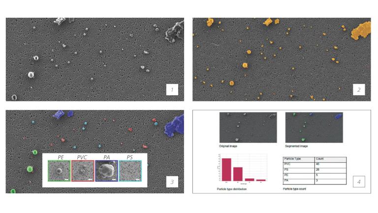ZEISS Sigma: Field emission scanning electron microscope for high ...