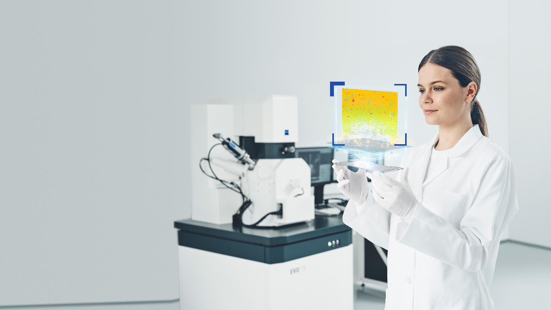 Materialography and metallography solutions from ZEISS. ZEISS ZEN core ...