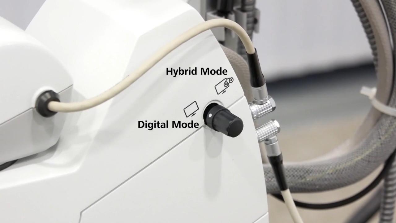 The importance of white balance with the ZEISS ARTEVO 800 and ZEISS ...