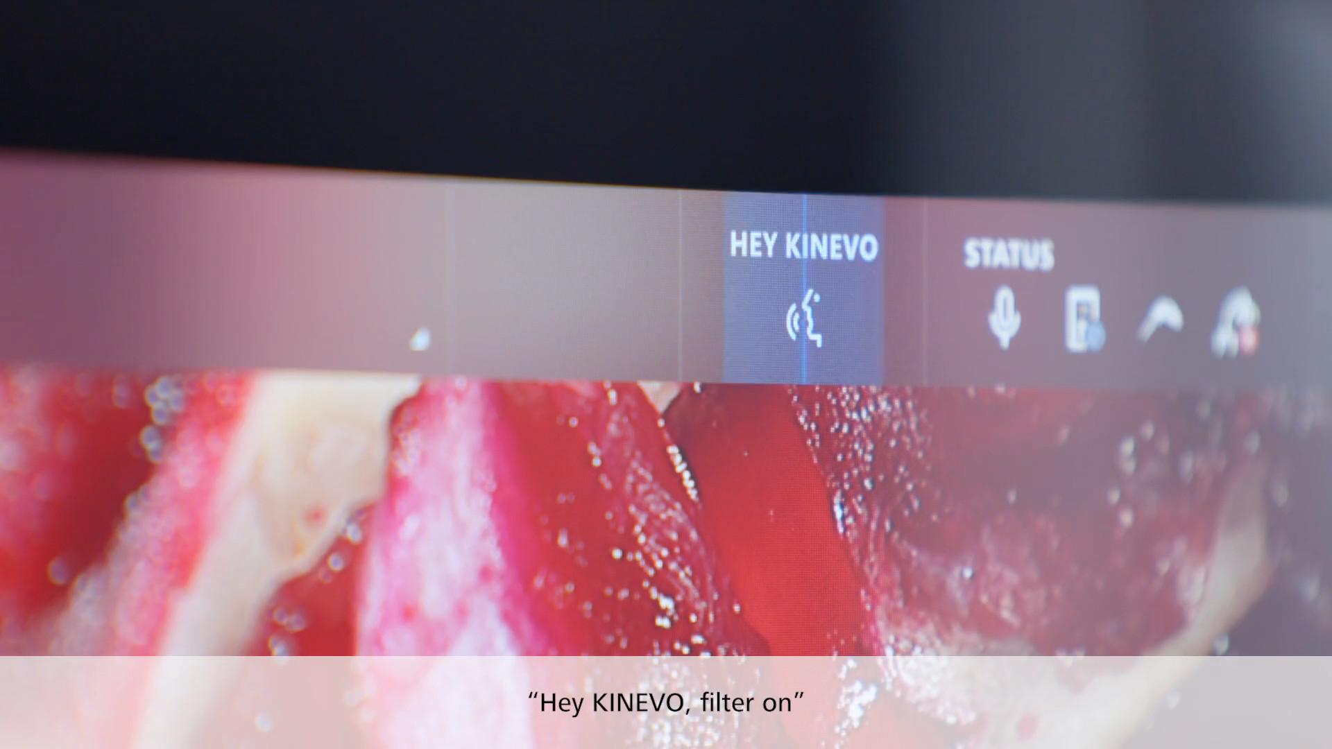How to set up and use the Voice Assistant of ZEISS KINEVO 900 S