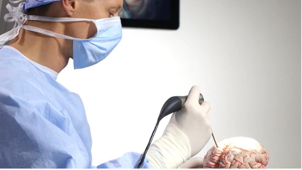 How to work with Digital Hybrid Visualization on the ZEISS KINEVO 900