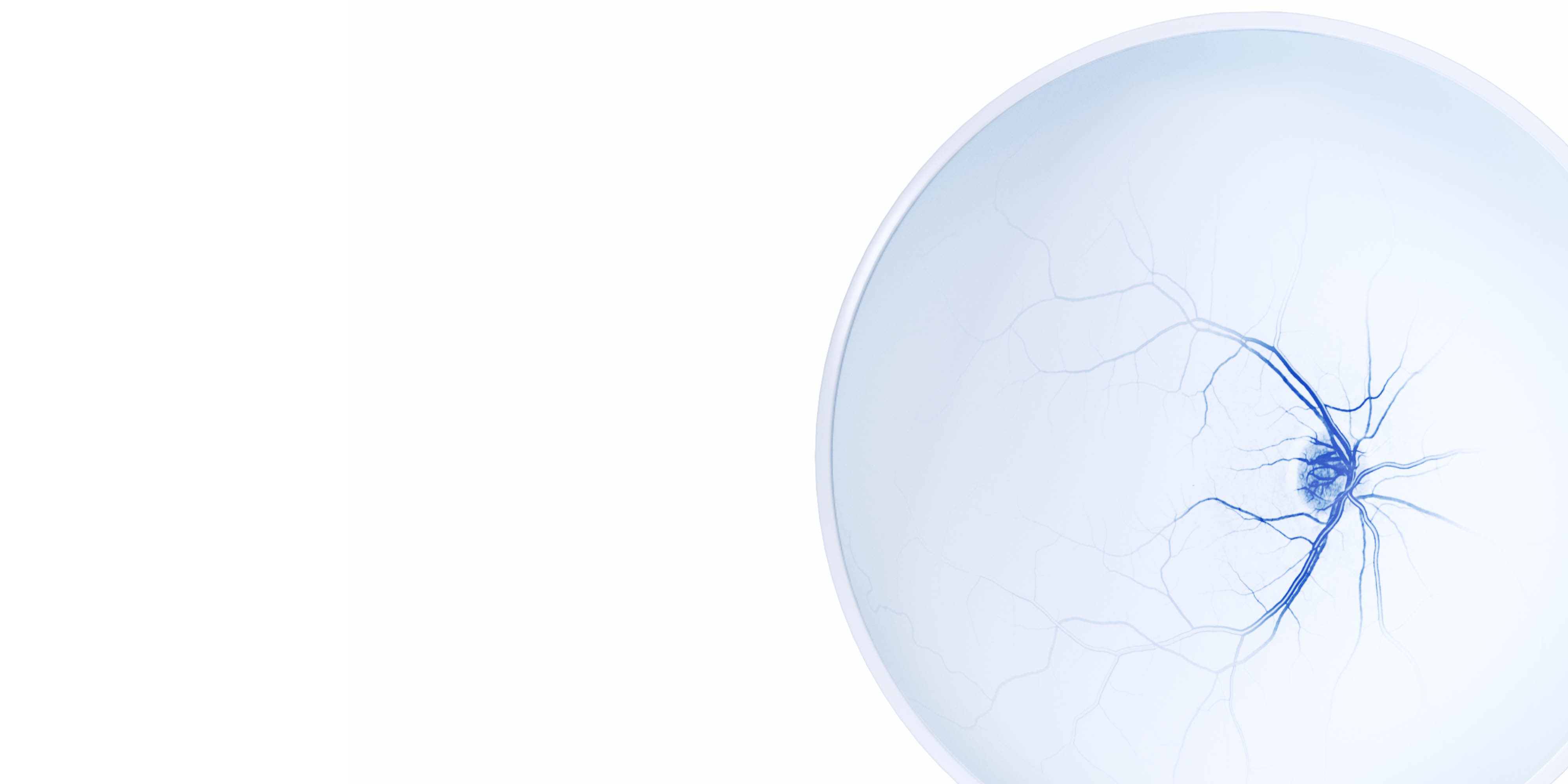 ZEISS Glaucoma Workflow | ZEISS Medical Technology
