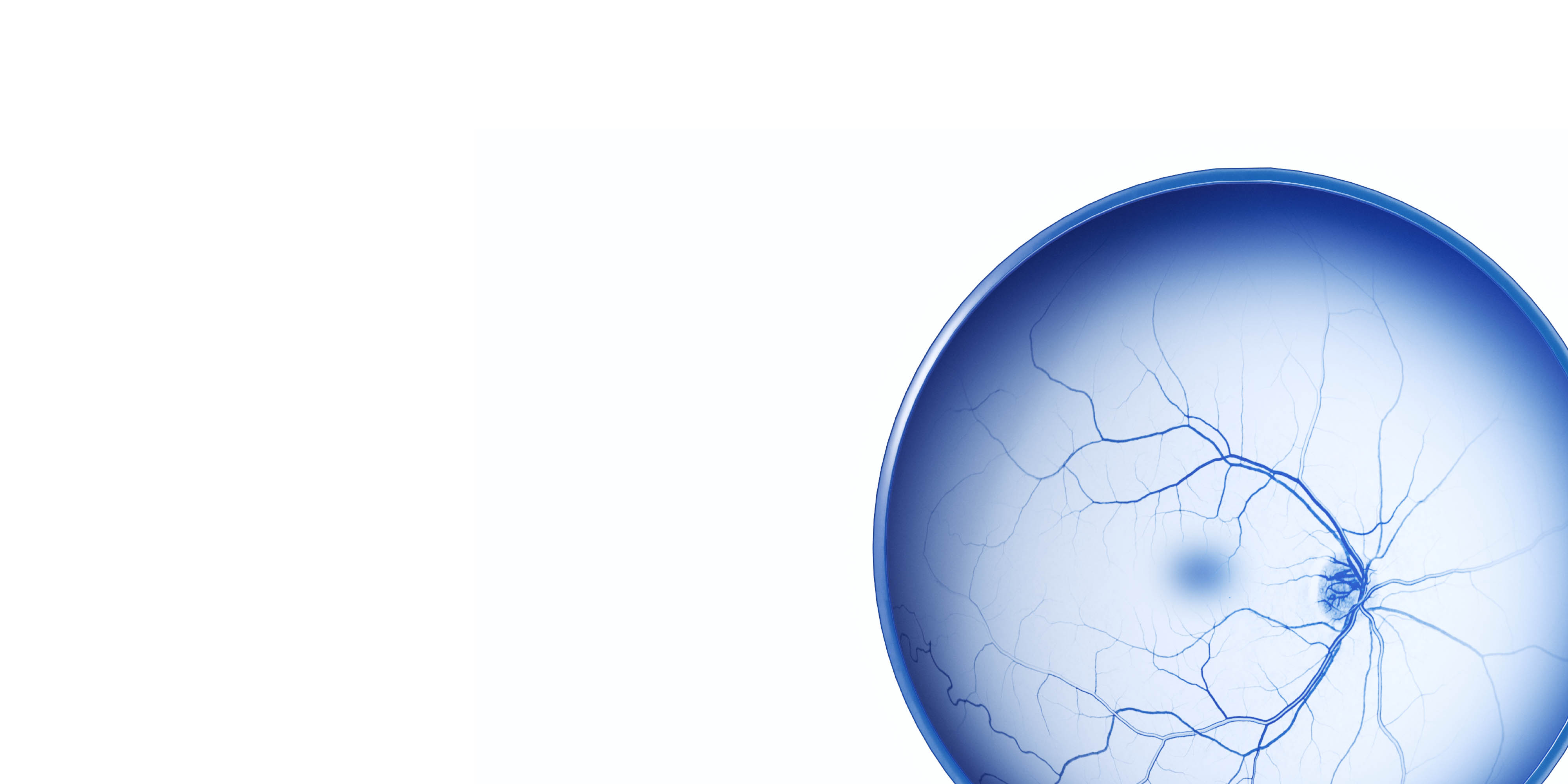 ZEISS Retina Workflow | ZEISS Medical Technology