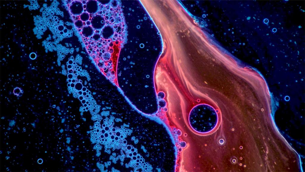 zeiss microscopy competition