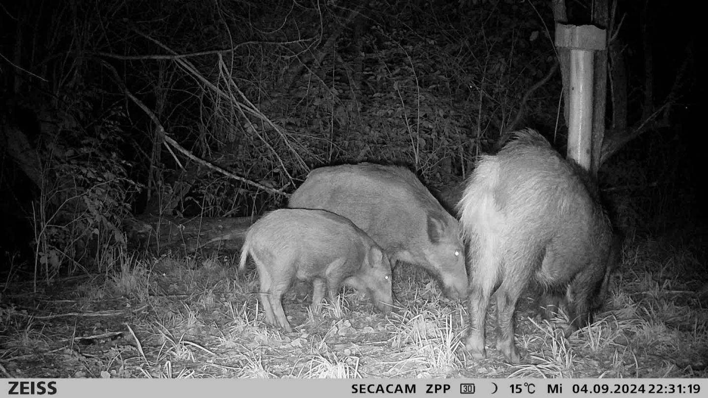 ZEISS Secacam App Features