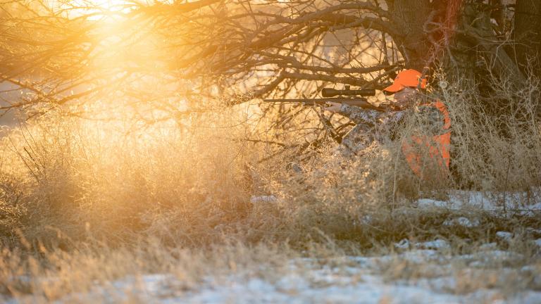 ZEISS Conquest V6 | Reliable precision for all hunts