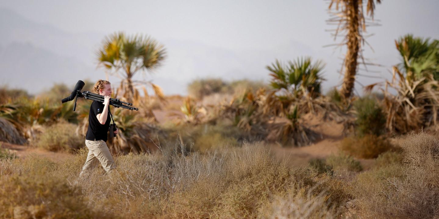 ZEISS Conquest Gavia | For clear visibility from everywhere ...