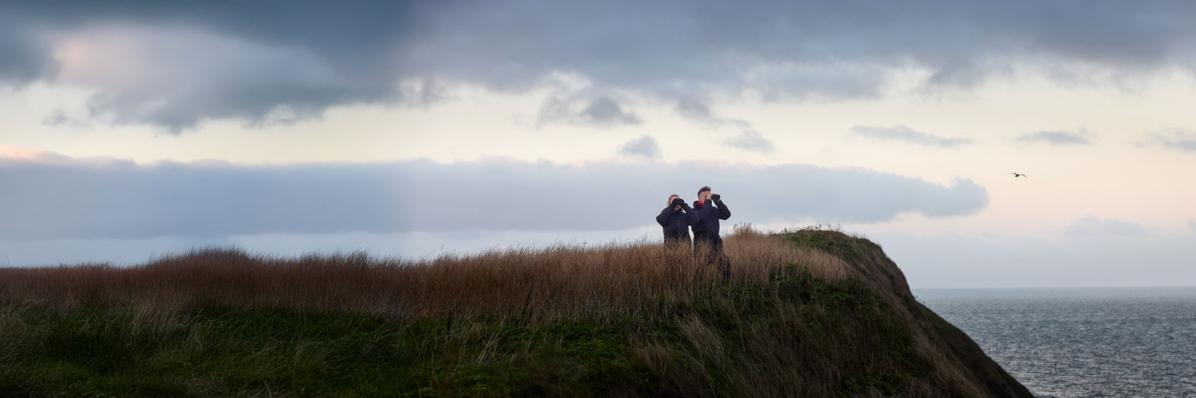 ZEISS Binoculars | For more discoveries in nature
