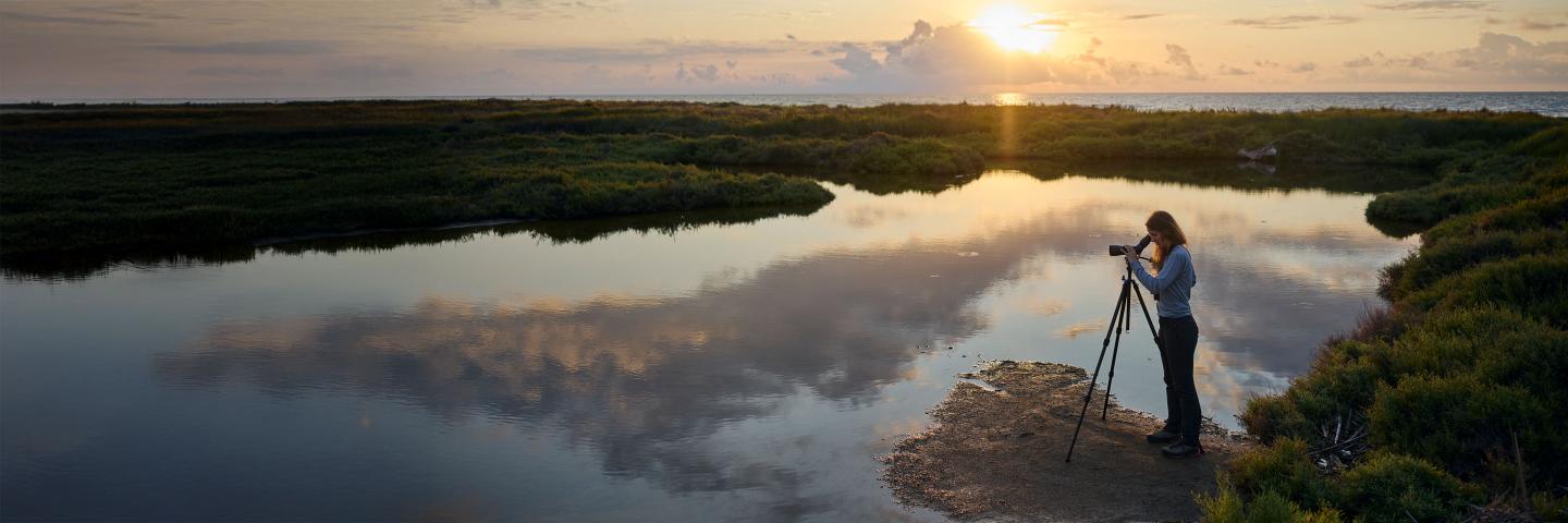 Spotting Scopes | ZEISS Nature Observation