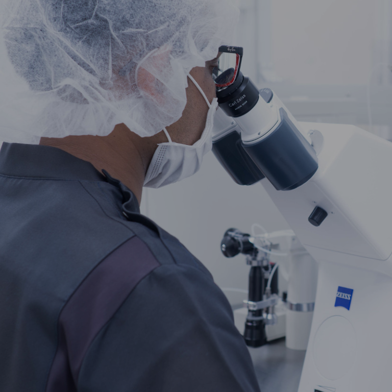 zeiss microscopy competition