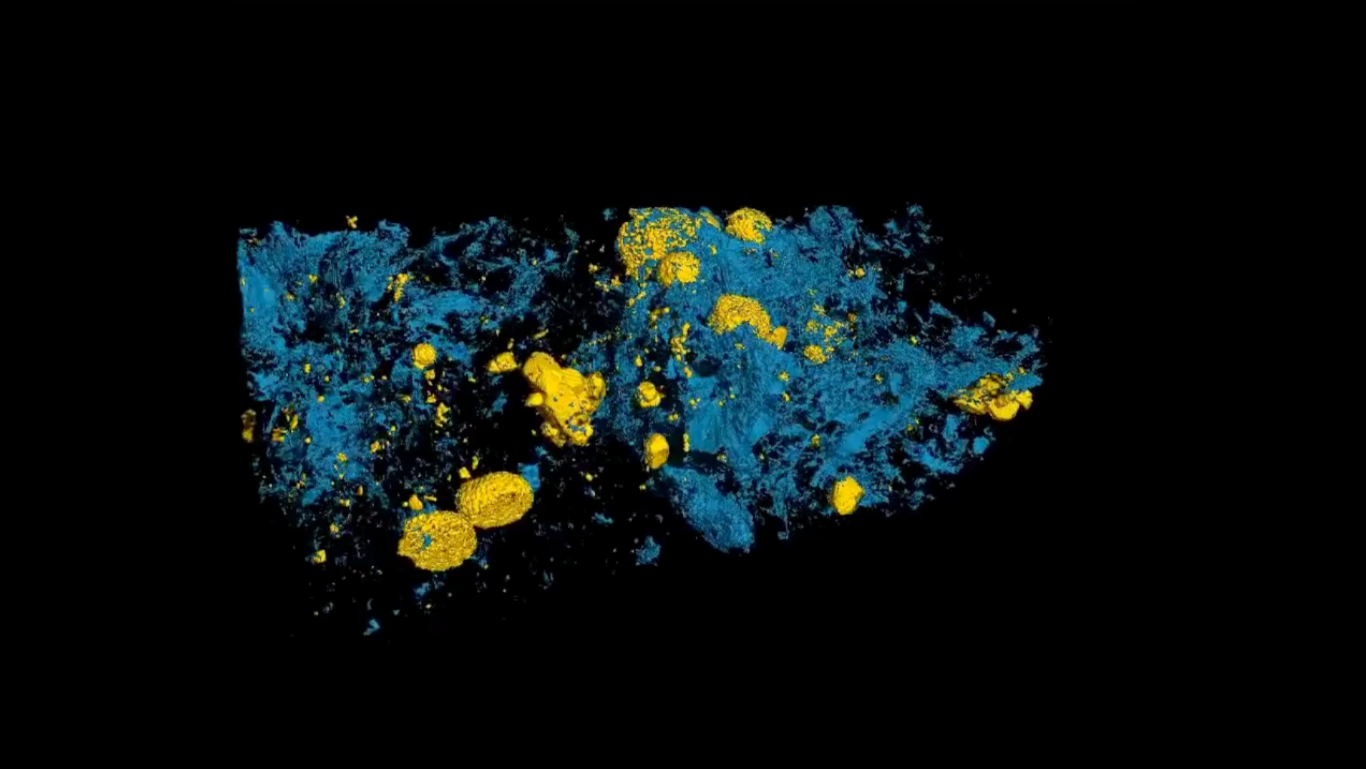 ZEISS Microscopy for Oil & Gas Research