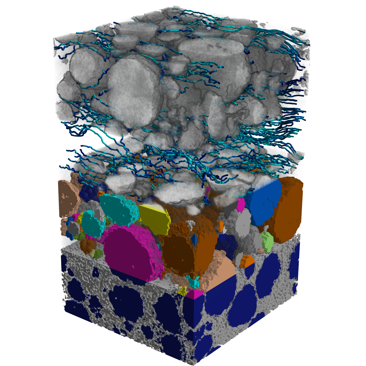 Microscopy for Energy Materials Research | ZEISS Microscopy US