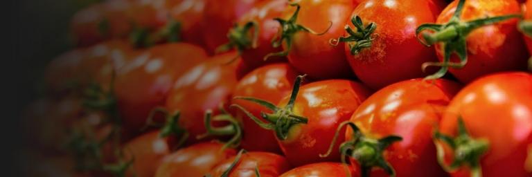 ZEISS Microscopy for Food Analysis