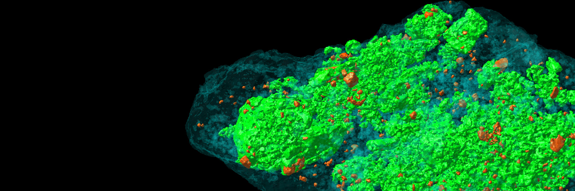 ZEISS Microscopy for Geoscience