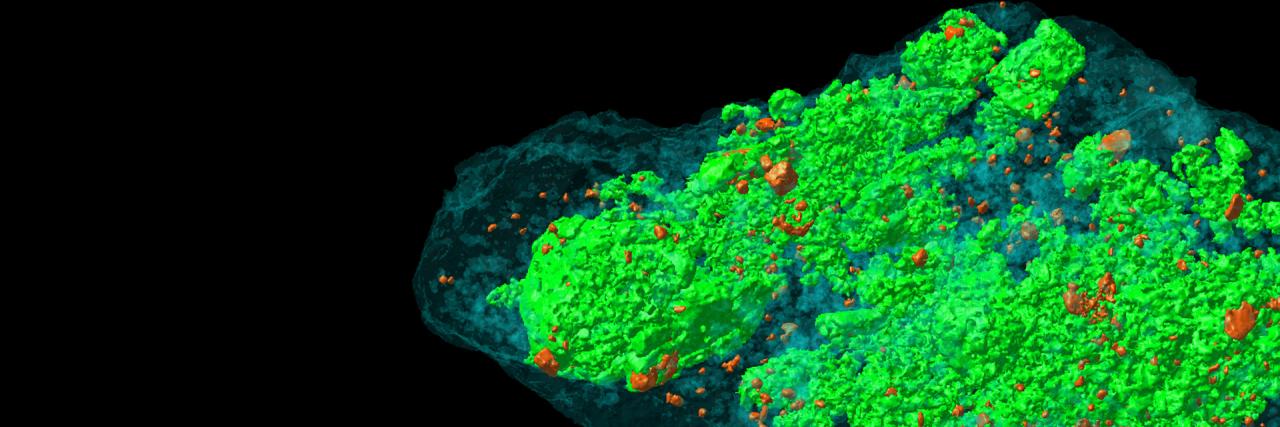 ZEISS Microscopy for Geoscience