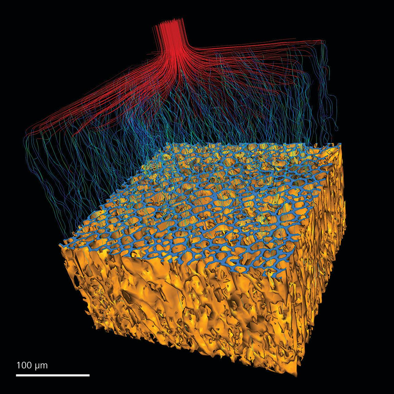 ZEISS Microscopy for Polymers & Soft Materials