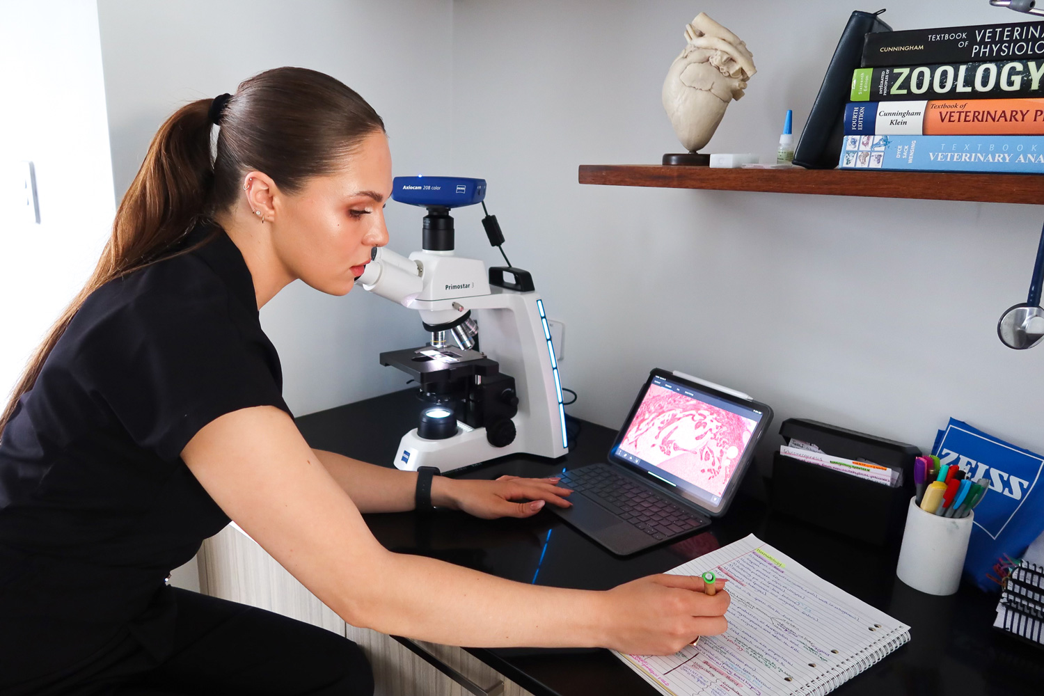Complete your lab with Sierra Oakley Primostar setup and buy or try ...