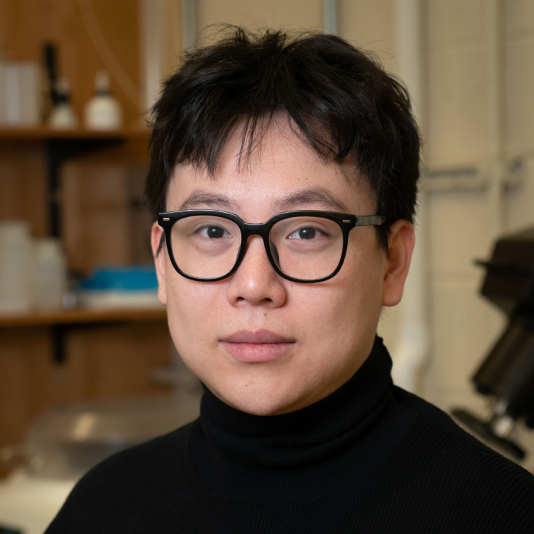 ZEISS Microscopy for Engineering Materials