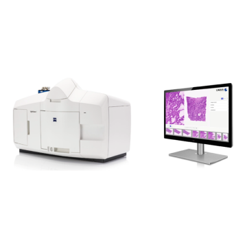 Automated pathology using lightsheet microscopy