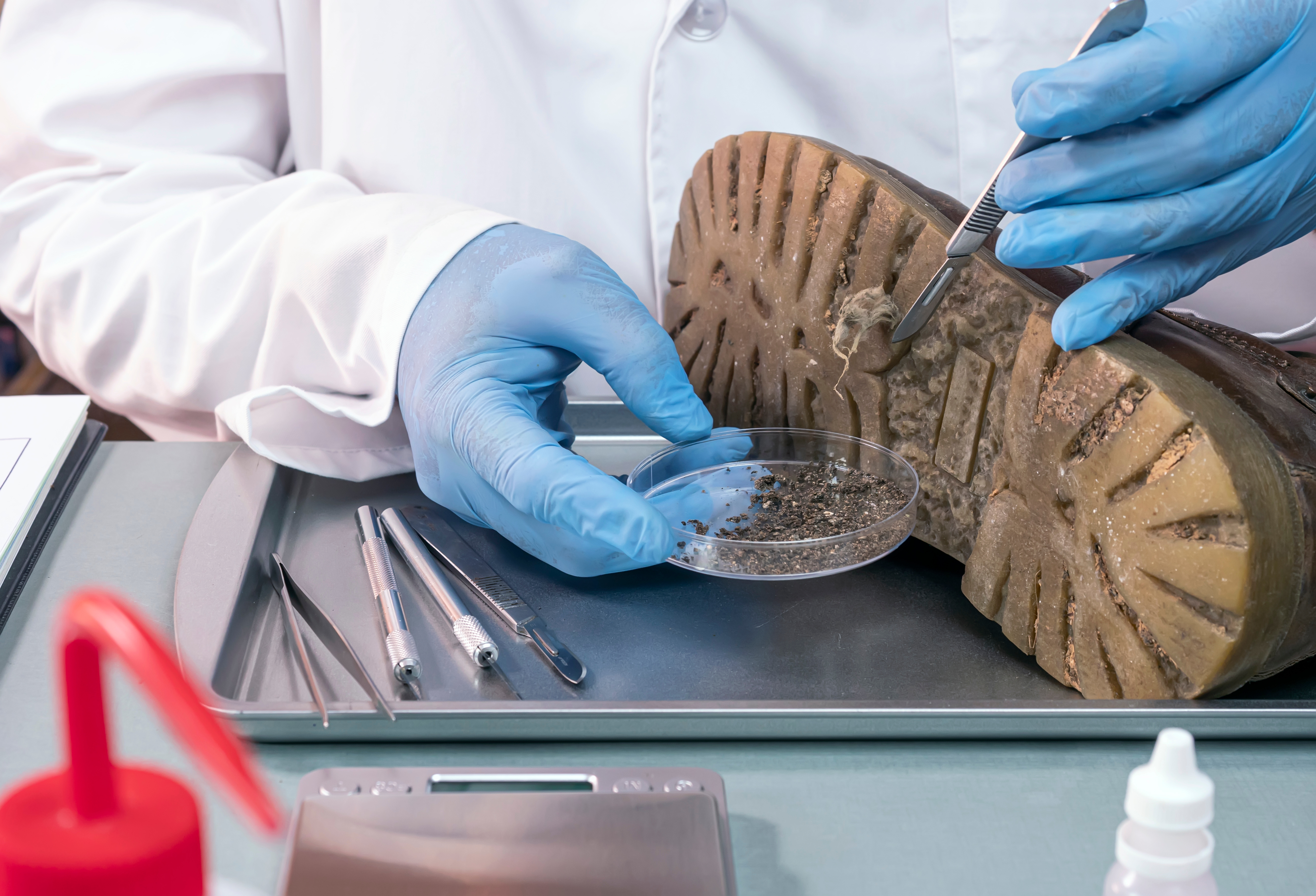 Microscopic investigation of soil in forensics | ZEISS
