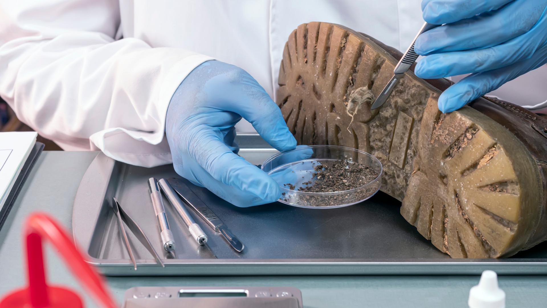 Microscopic investigation of soil in forensics | ZEISS