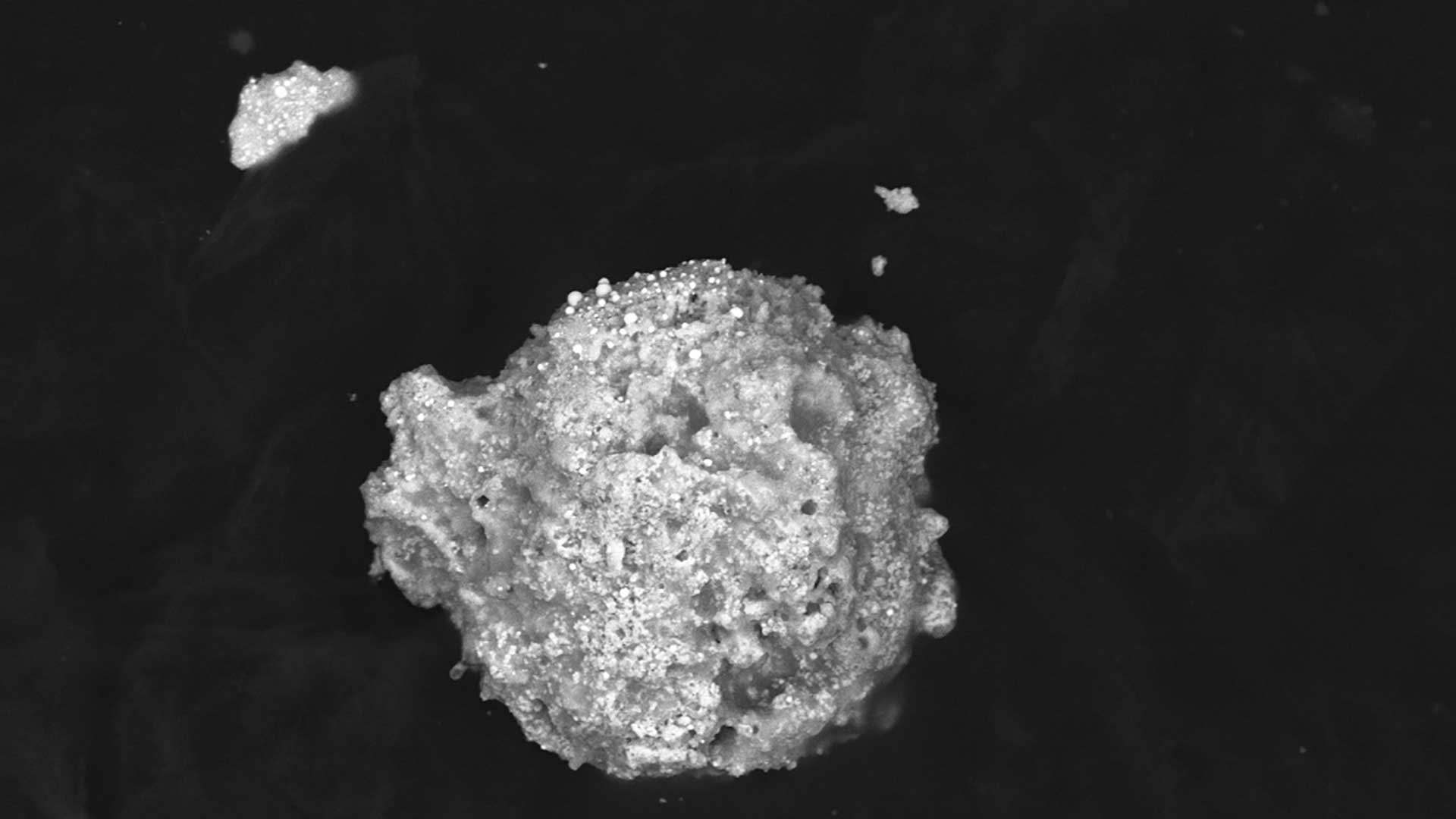 Forensic Gunshot Residue Analysis with Microscopes