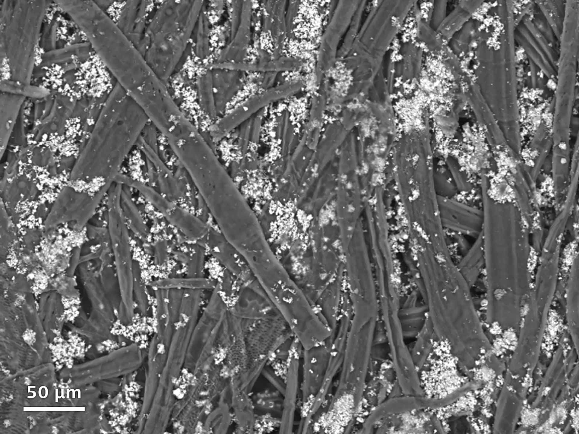 Questioned Document Examination