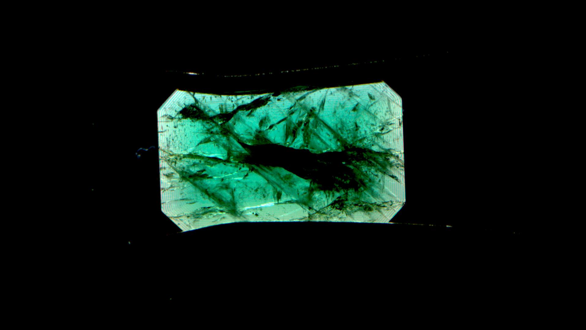 Microscopic investigation of forensic glass traces | ZEISS
