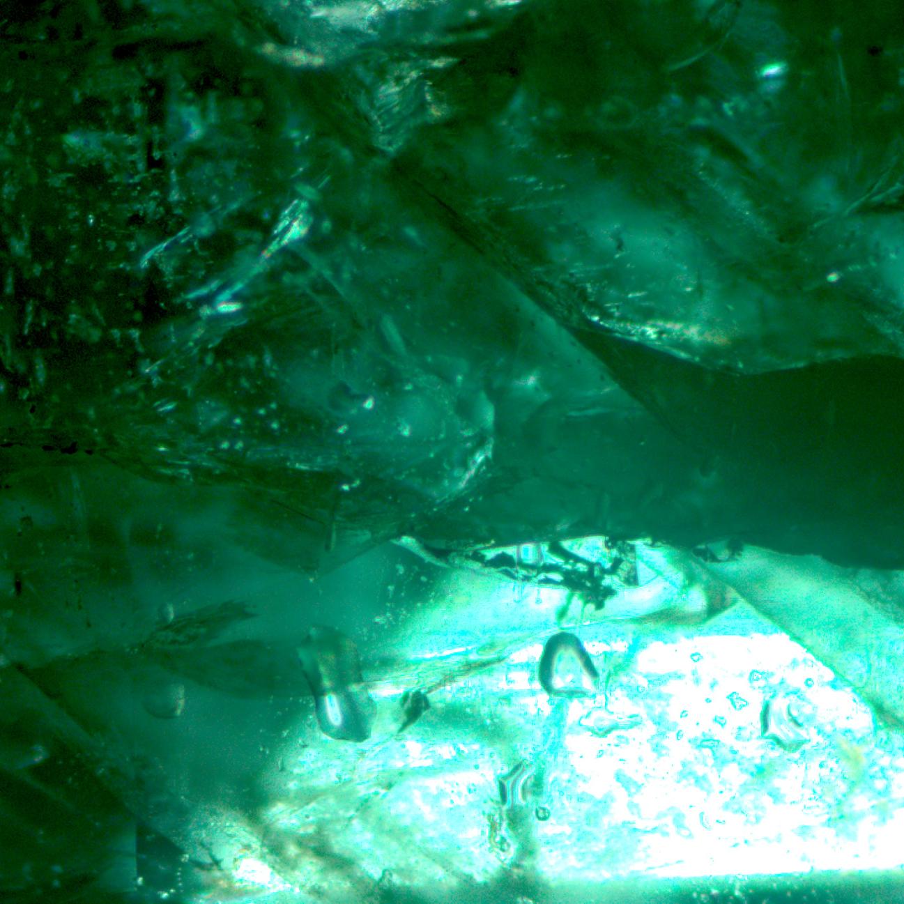 Microscopic investigation of forensic glass traces | ZEISS
