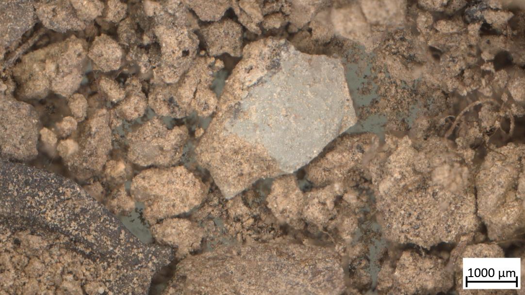 Microscopic investigation of soil in forensics | ZEISS