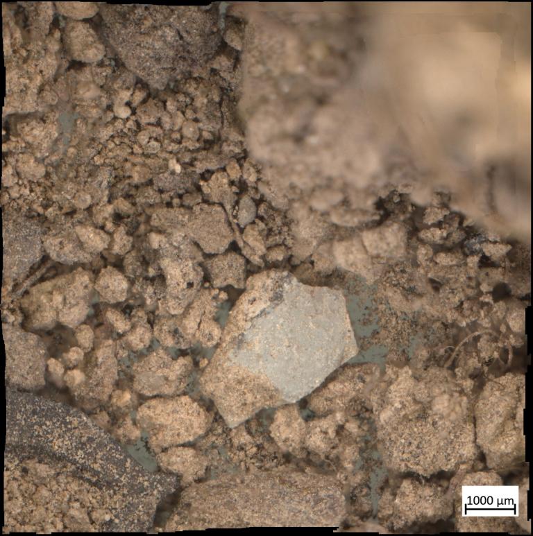 Microscopic investigation of soil in forensics | ZEISS