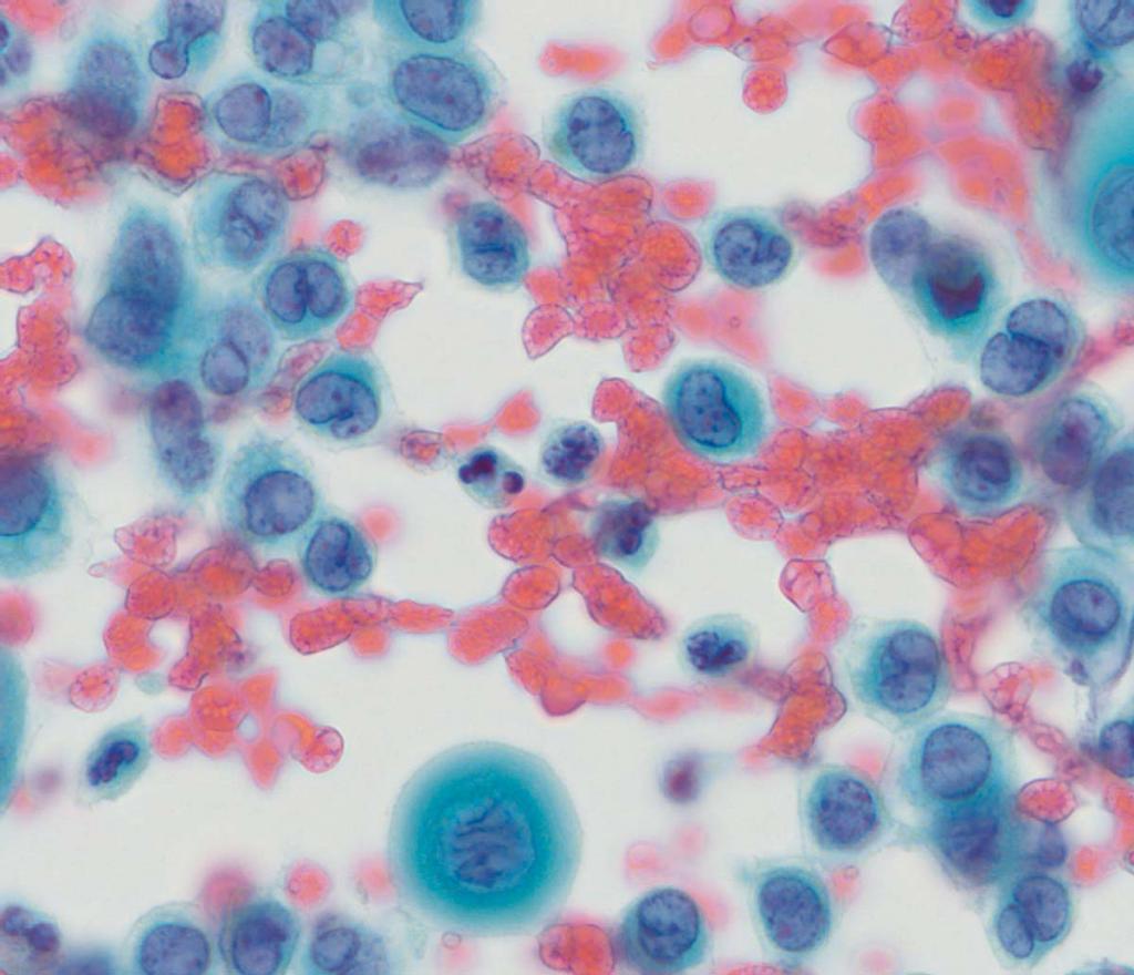 Clinical Microscopes from ZEISS - Your certified microscopes for your ...