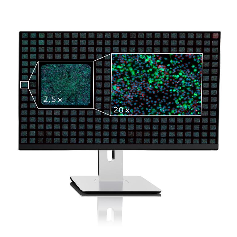 Lead Identification in Drug Discovery