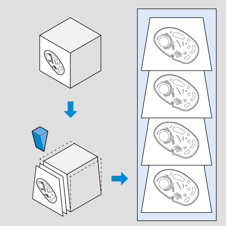 Volume Em With Array Tomography