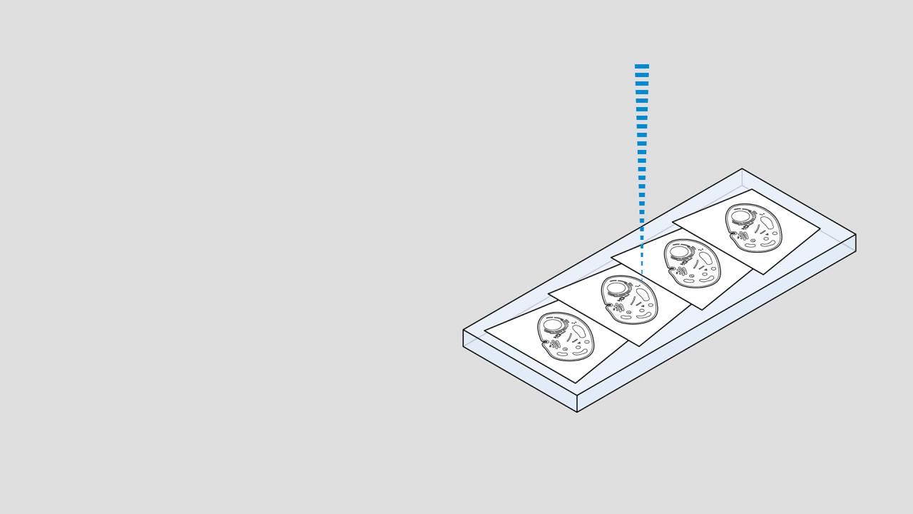 Volume EM with Array Tomography