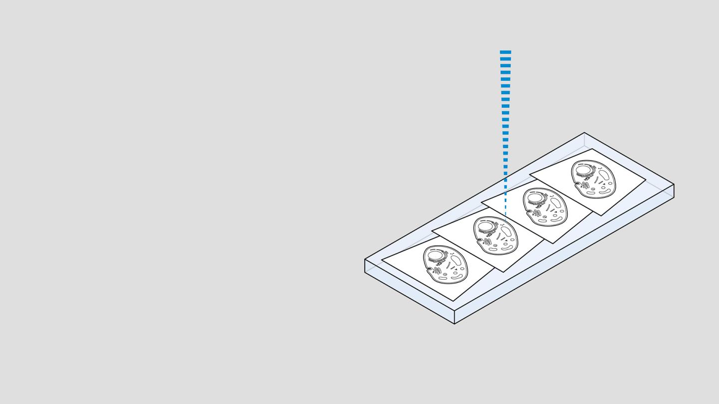 Volume EM with Array Tomography
