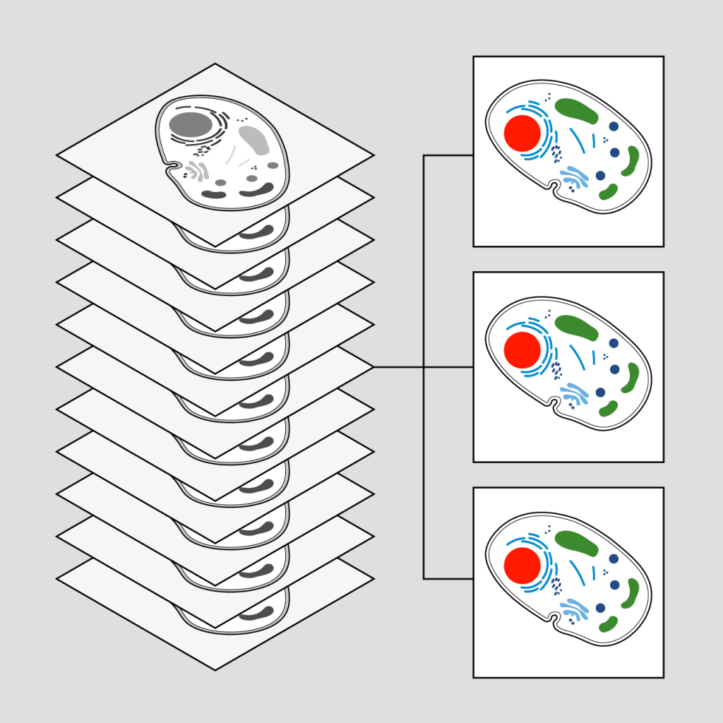 Volume EM with Cryogenic FIB-SEM
