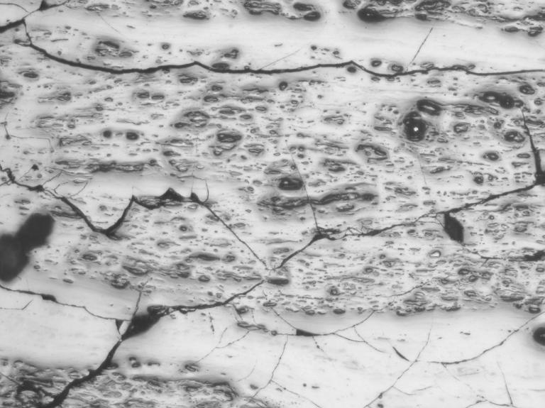 Microscopy Solutions for Steel