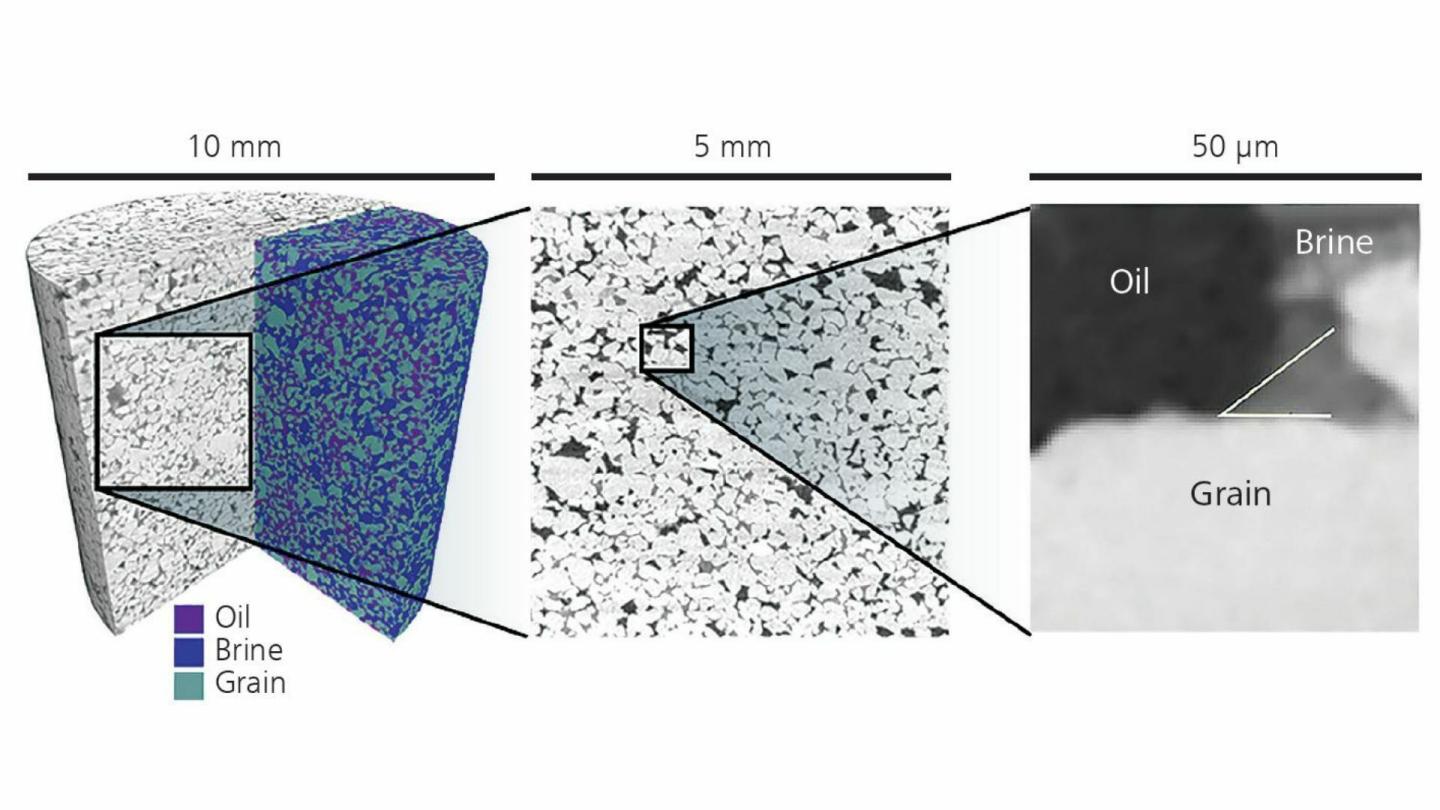 Advanced Platform For Multiscale Digital Rock Physics Zeiss