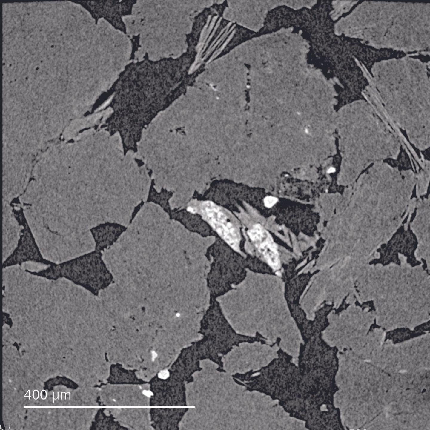 Advanced Platform for Multiscale Digital Rock Physics | ZEISS